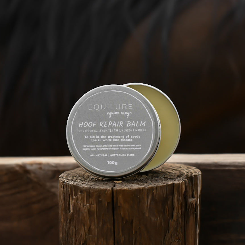 Equilure Hoof Repair Balm (Seedy Toe & White Line Disease) — The Tack Shop