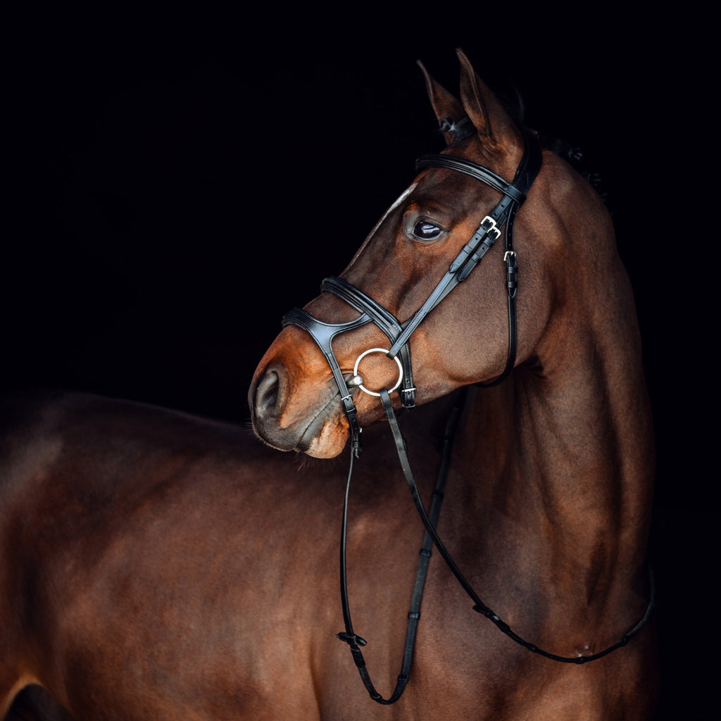 Horse Riding | Bridles — The Tack Shop