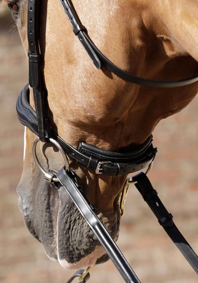 Horse Riding | Bridles — The Tack Shop